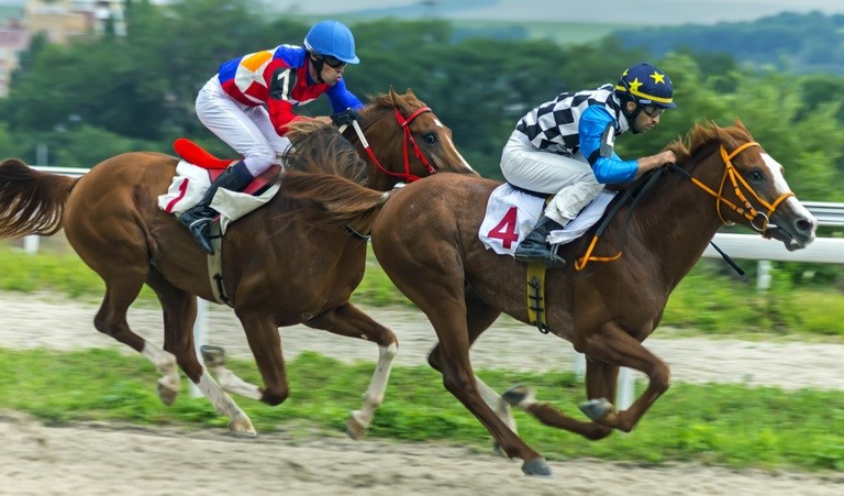 Beyond the UK: Exploring the Top 5 Horse Racing Events Around the World ...