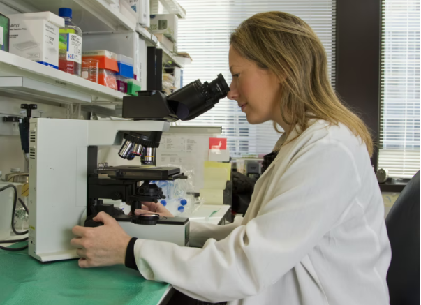 MPs lay out ‘the damning reality of emergency care’ in new report, RCEM ...