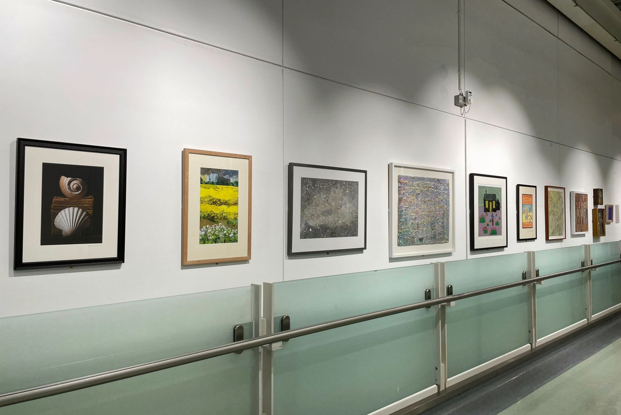 New Chelsea Arts Club exhibition installed at Chelsea and Westminster ...