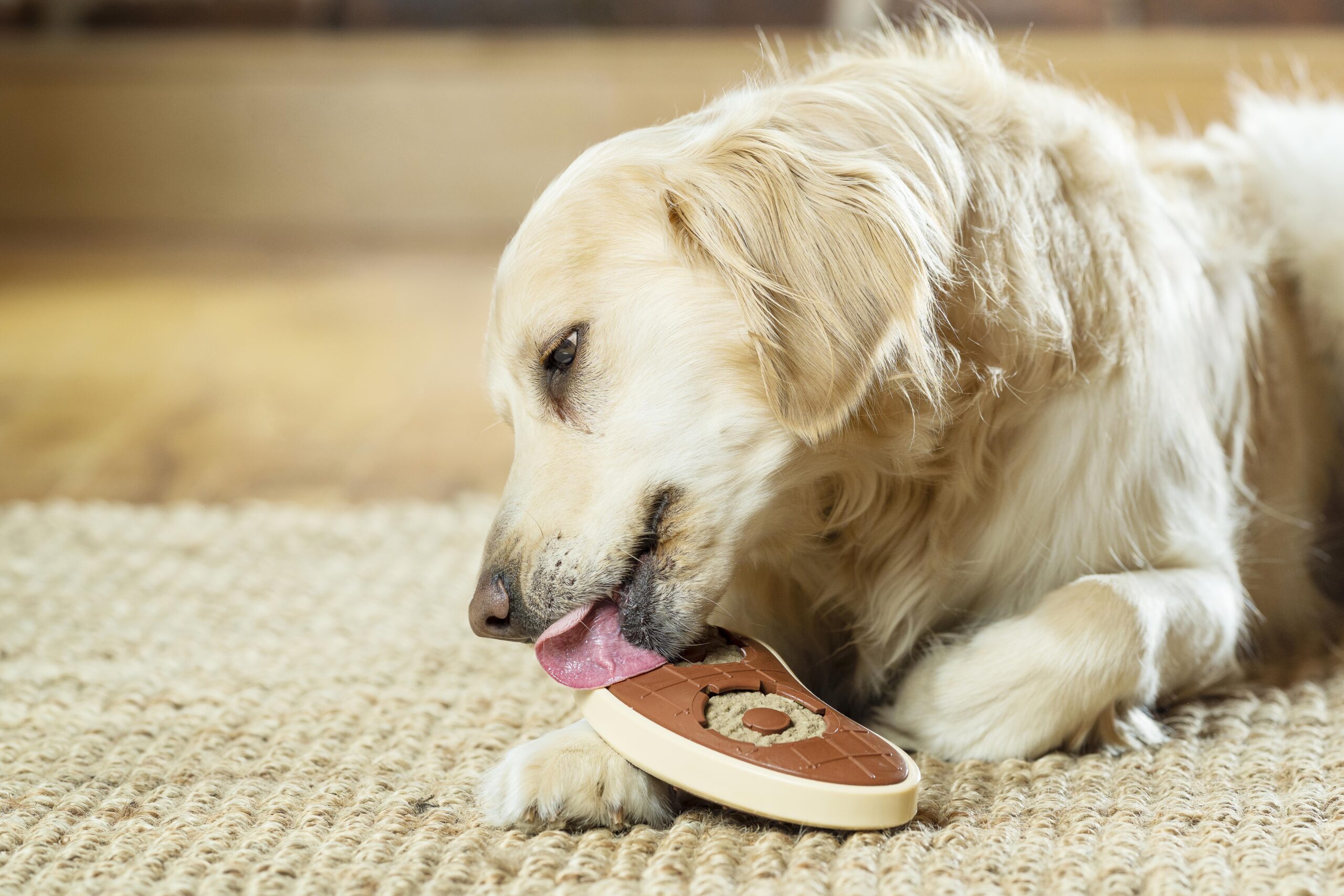 21% of London pet owners cutting back on weekly food shop to afford pet ...