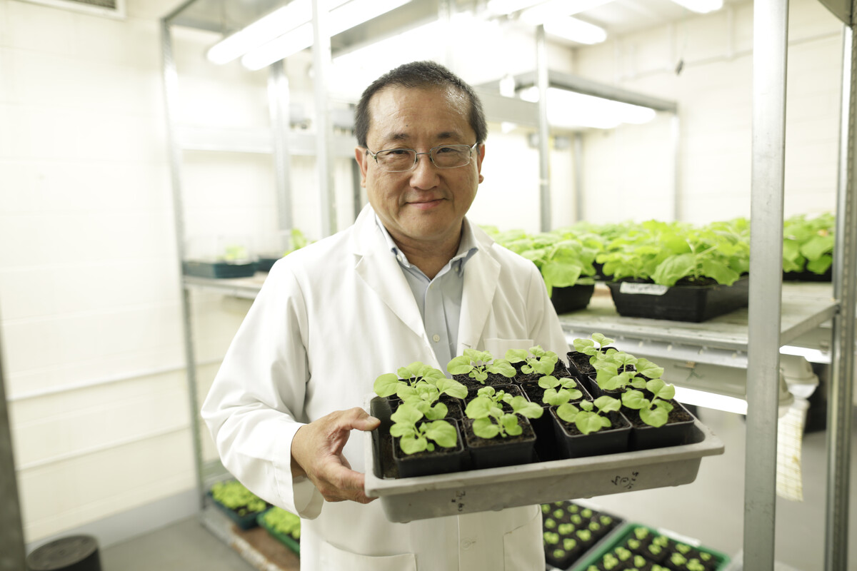 London scientists partner with Ukraine to advance plant-based ...