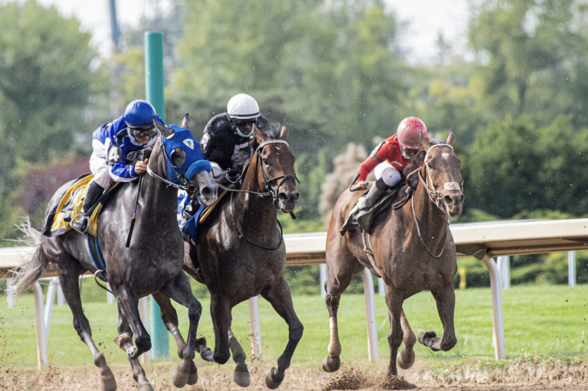 The Biggest Horse Racing Events in Ireland - London Post