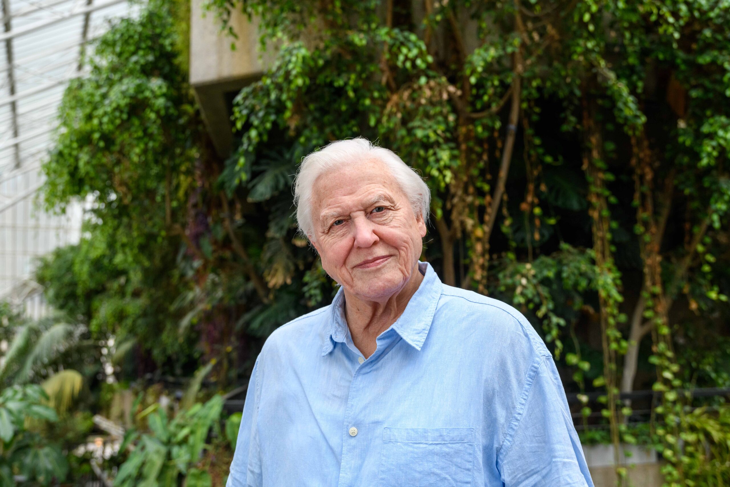 NATIONAL TREASURE SIR DAVID ATTENBOROUGH UNVEILED BY MADAME TUSSAUDS ...