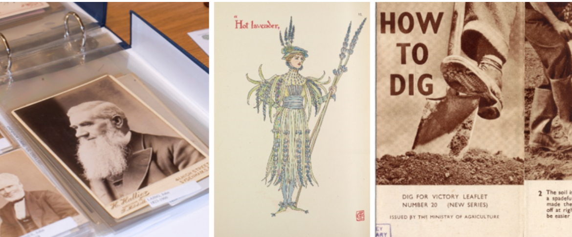 Beards, Botanists and Blossoming Identities: Discover the unexpected ...