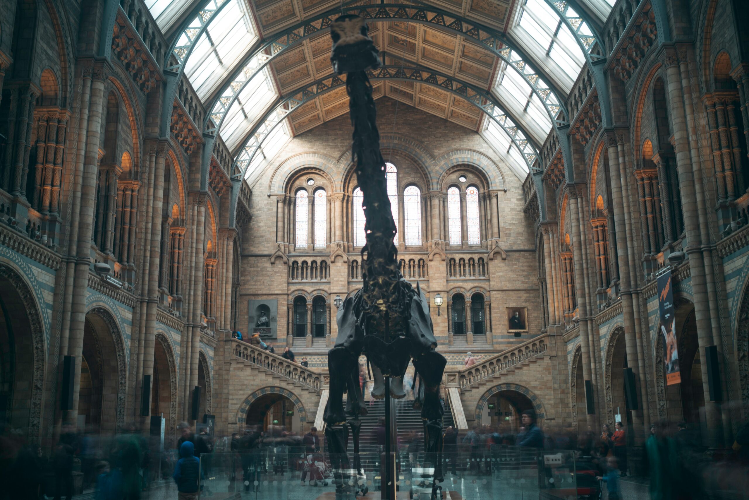 Exploring the Animals of London - London Post