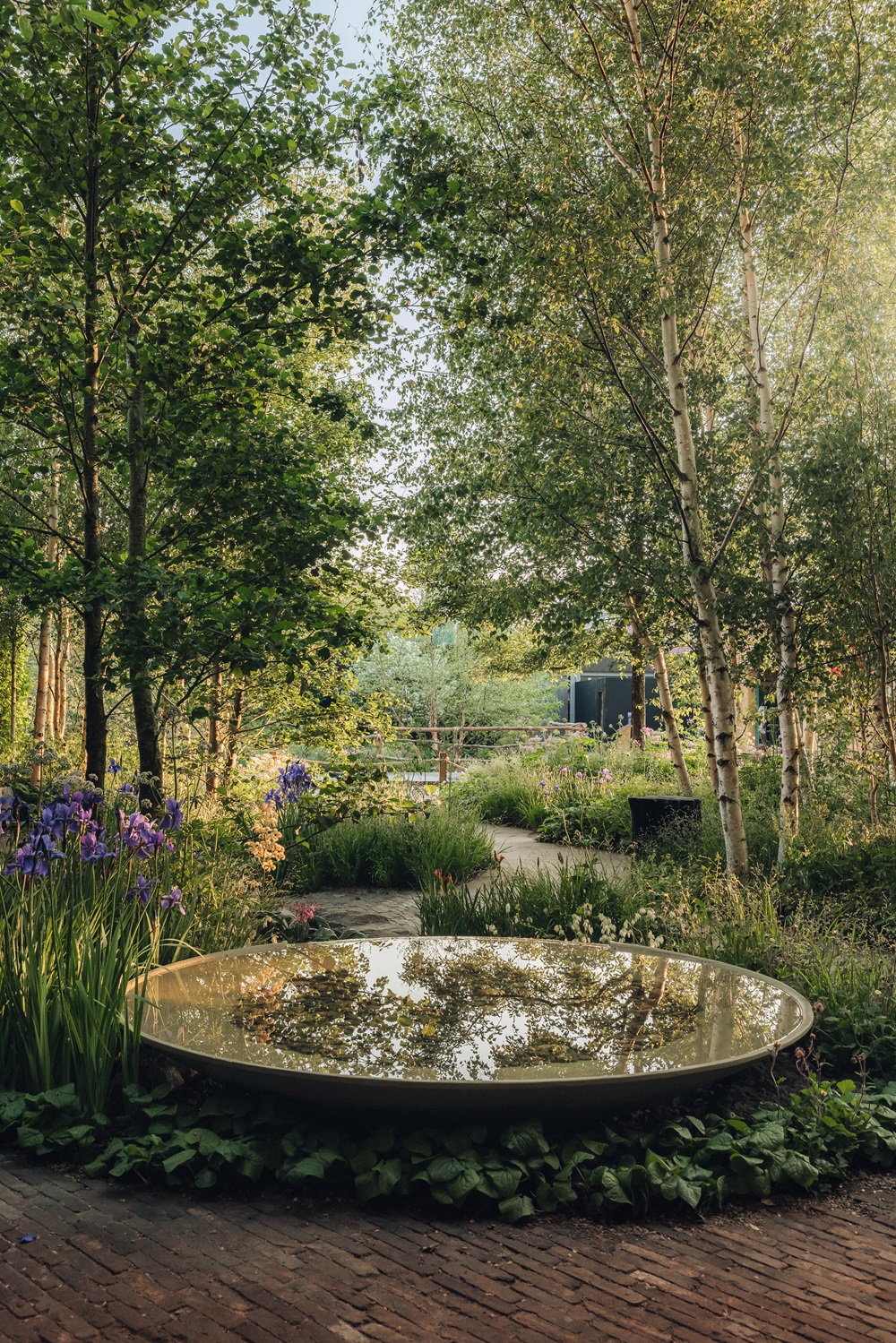 Forest Bathing goes for gold at RHS Chelsea - London Post