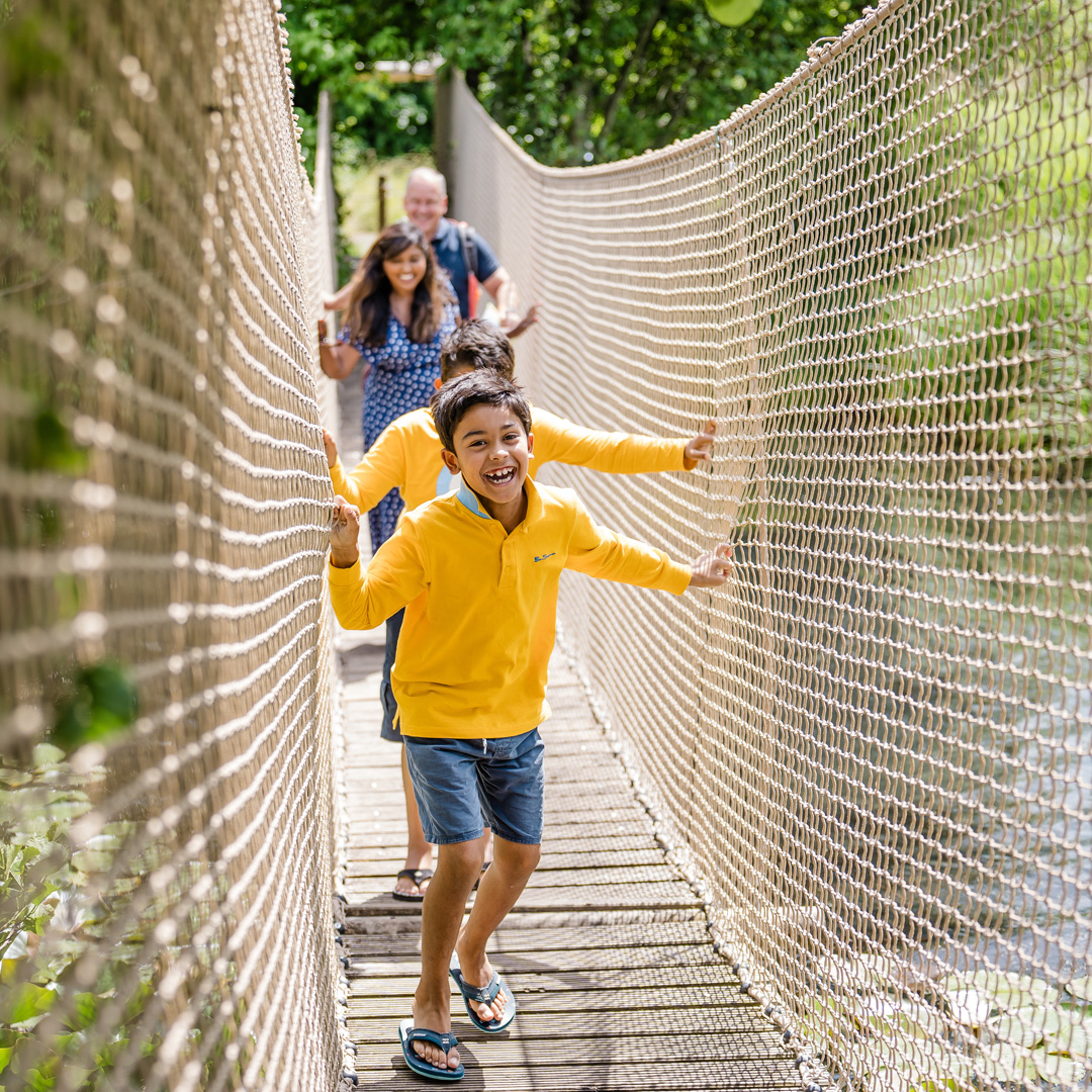 WWT London promises a summer of wonder with a new postcard adventure ...
