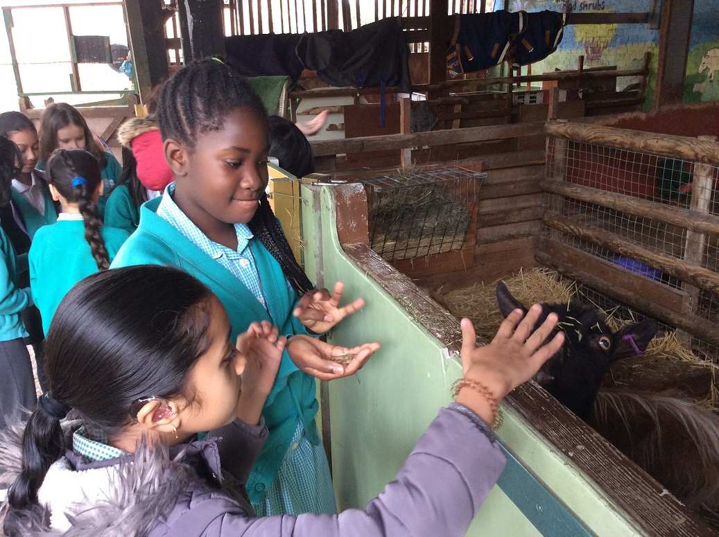 More EastEnders ‘get hands dirty’ thanks to funding for city farm ...