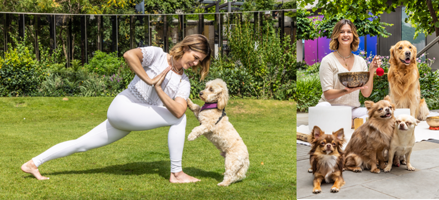 The Big Woof Festival returns to King’s Cross - London Post