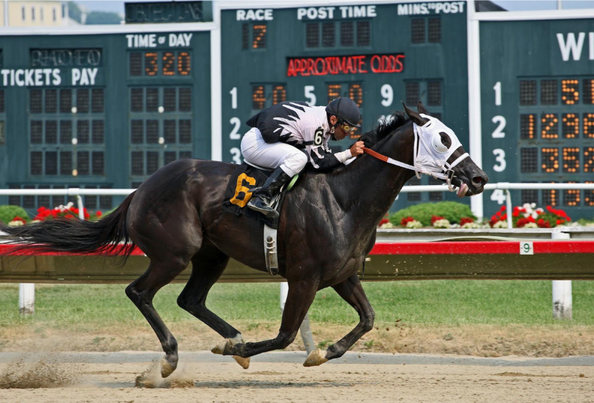 Top UK Horse Racing Fixtures to Attend This December - London Post