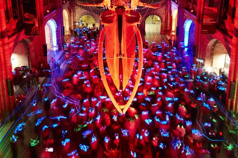 Natural History Museum launches new family-friendly Dino Disco - London ...