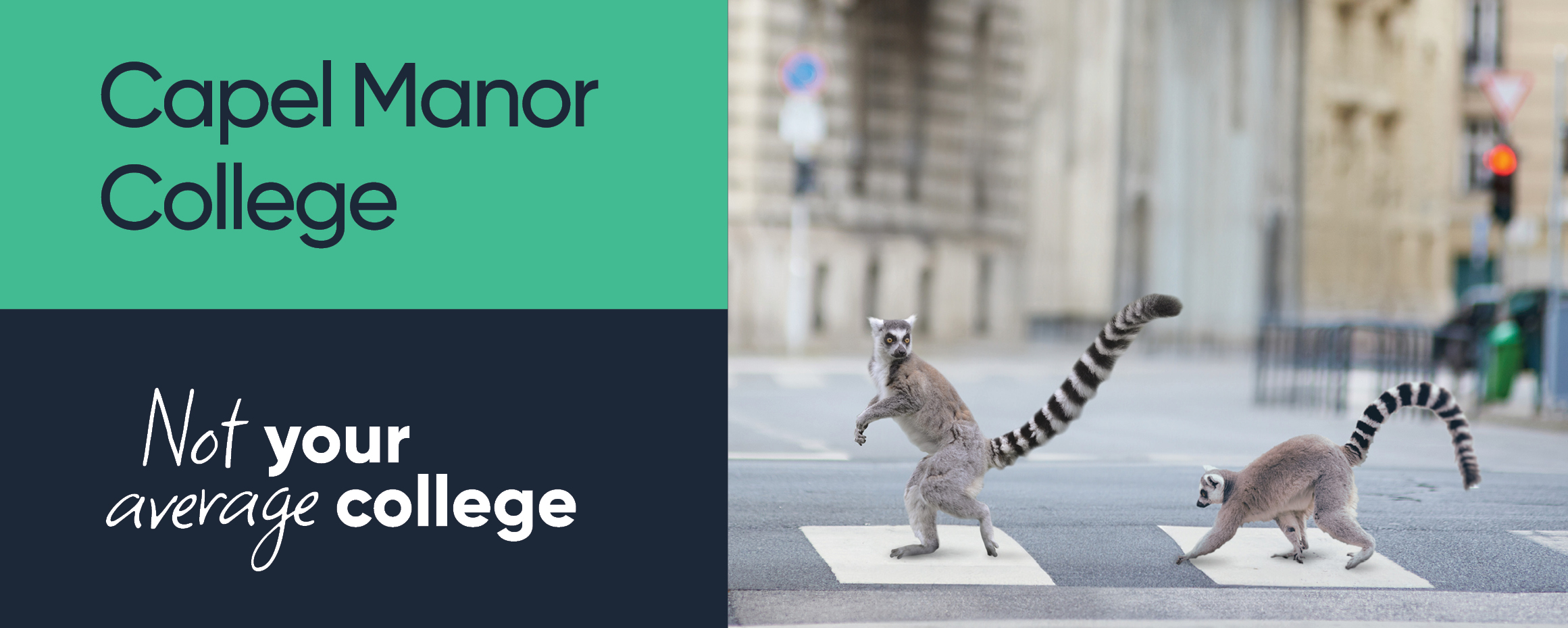 London's only environmental college opens doors to visitors - London Post