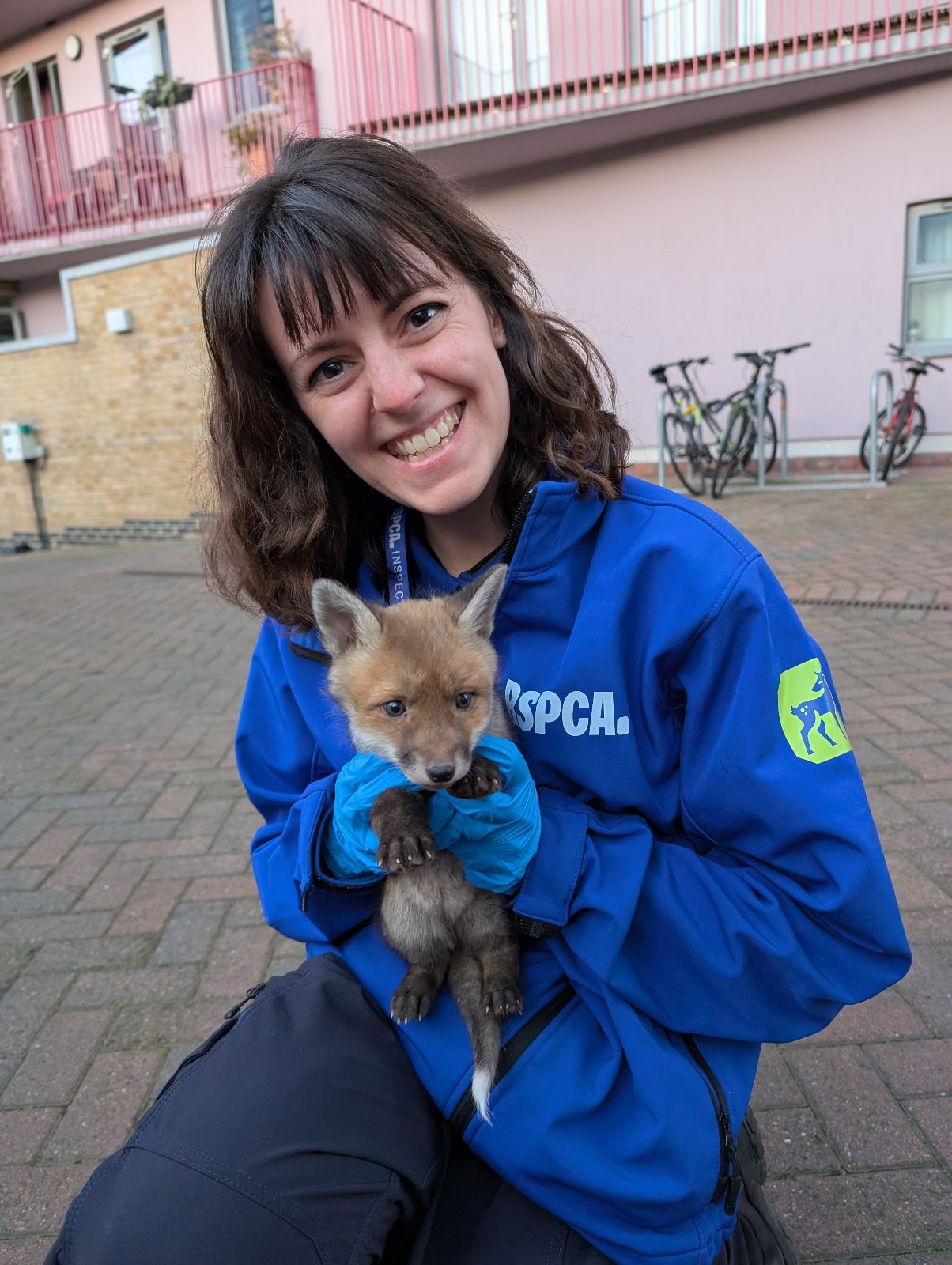 RSPCA praise for London resident who helped rescue stranded fox cub ...