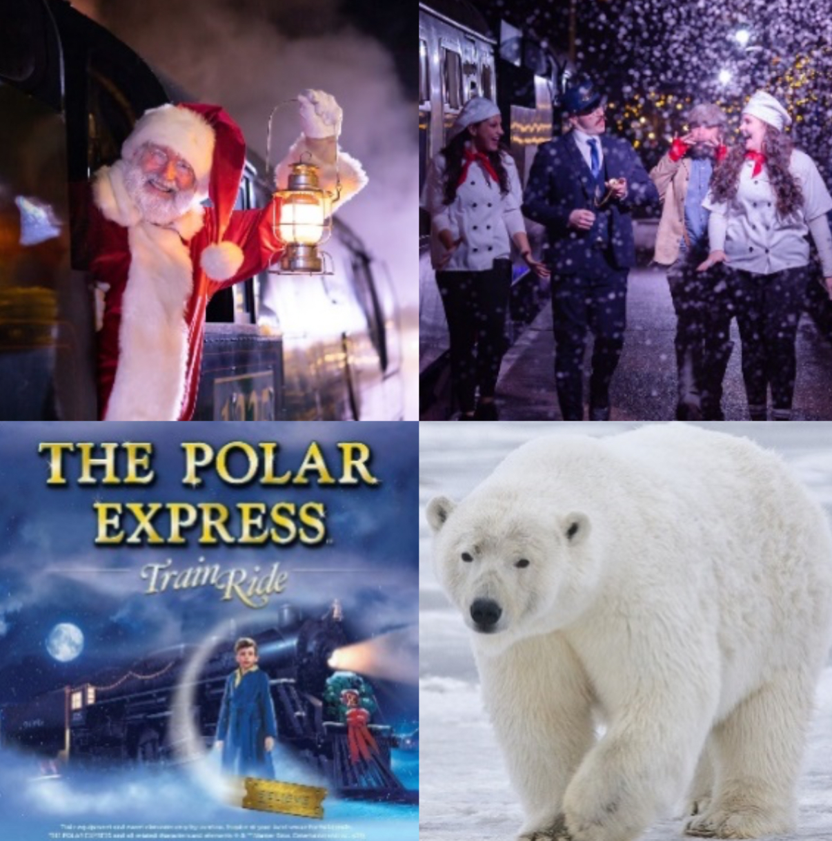 Tickets are now on sale for THE POLAR EXPRESS™ Train Ride at London ...