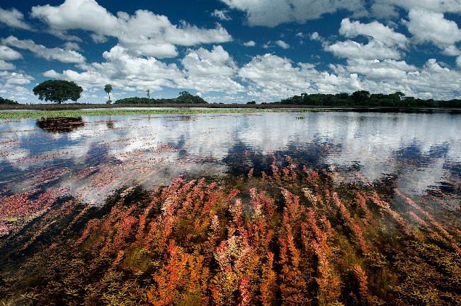 Dramatic images of the impact of climate change on world's largest ...