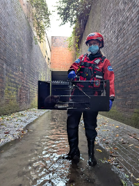 RSPCA reveals top rescues of 2025 - London Post