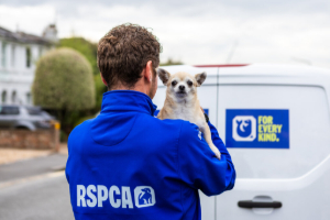 ‘Many magical moments’ RSPCA searches for new animal rescue officers in ...
